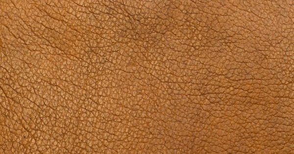 Leather Allergy Symptoms & Treatment - New York ASC