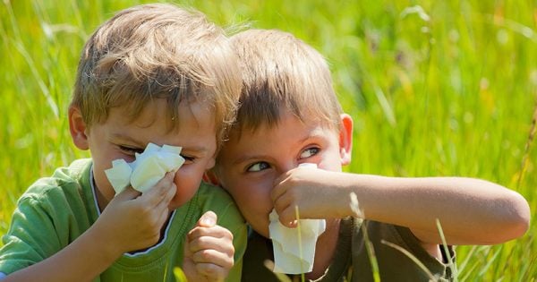 What To Know About Grass Pollen Allergy Season | New York Allergy and ...